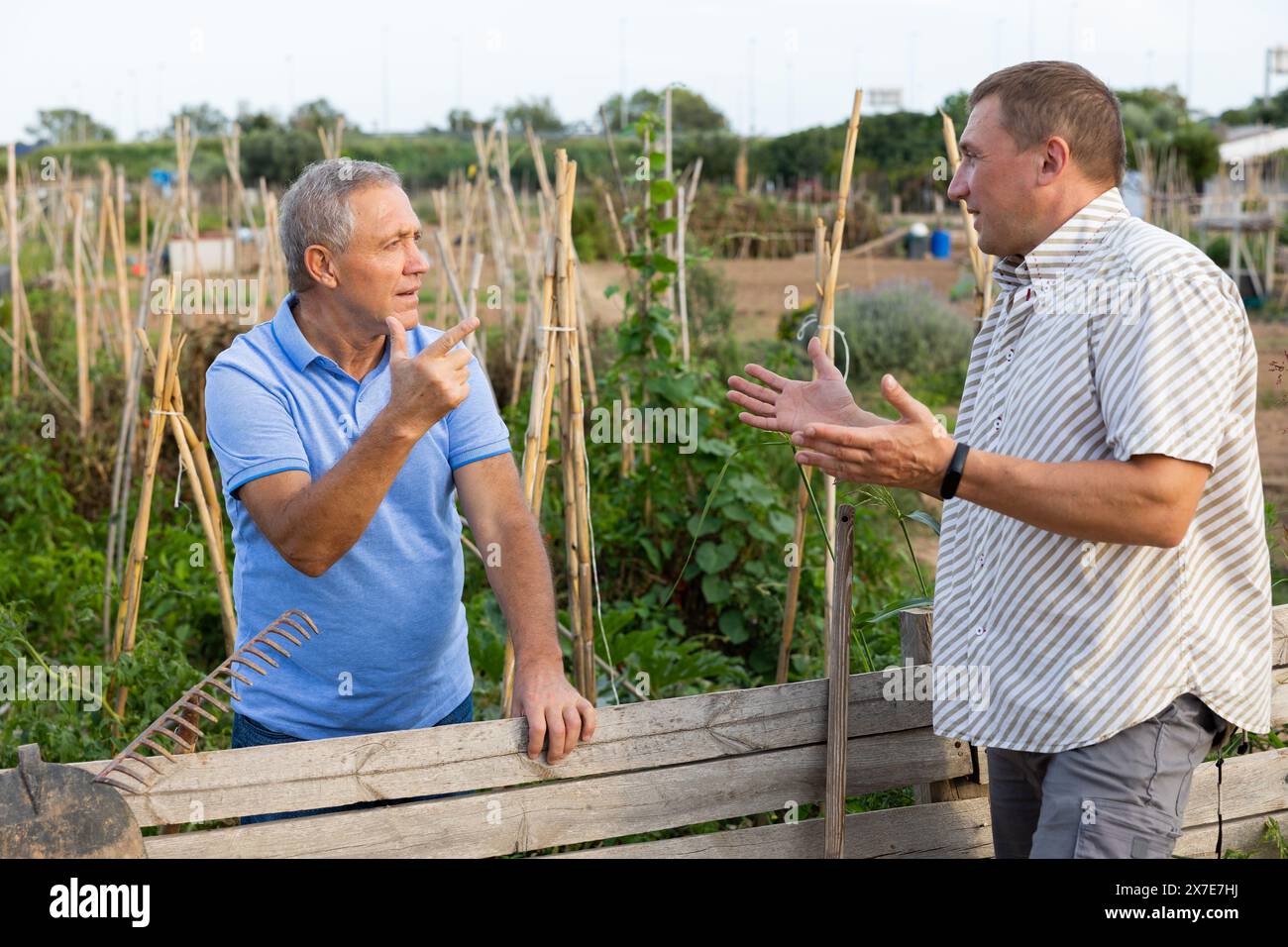 Two men neighbors standing at fence and chatting Stock Photo - Alamy
