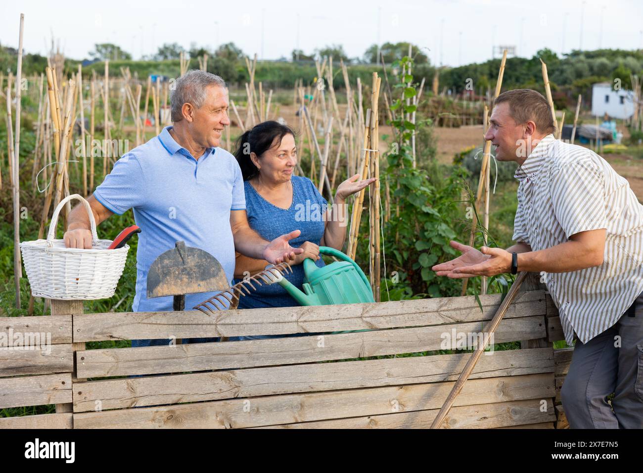 Three neighbours farmers talking together near wooden fence in garden ...
