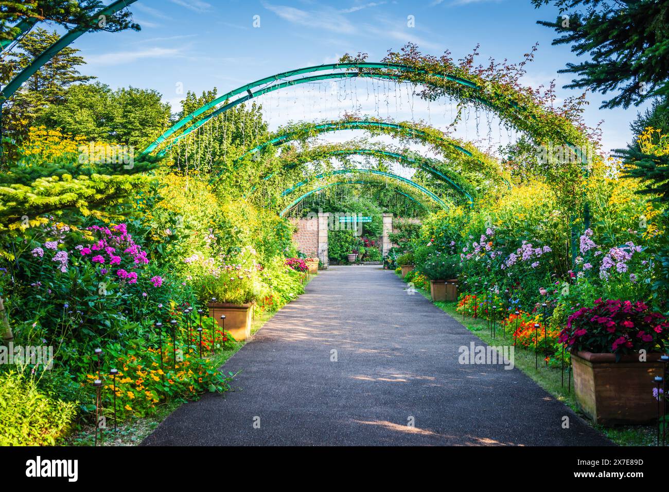 Kyoto, JAPAN - July 29, 2016: Walkway under vine-covered circular ...