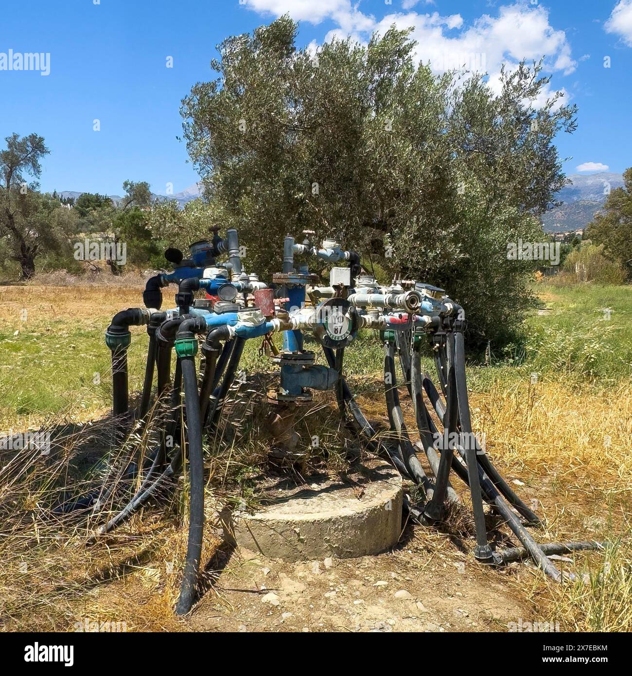 Irrigation irrigation distributor irrigation system water supply with ...