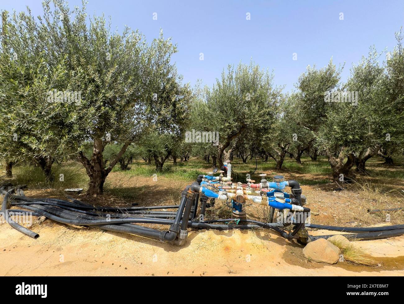 Irrigation irrigation distributor irrigation system water supply with ...