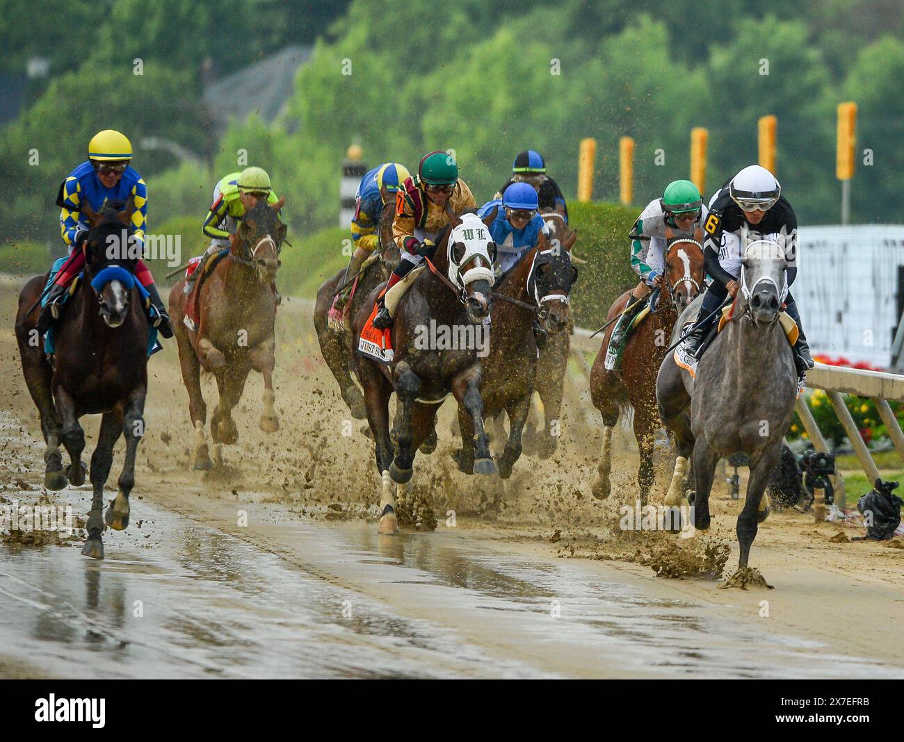 Baltimore, MD - May 18th: Jockey Jamie Torres (6) and Seize the Grey ...