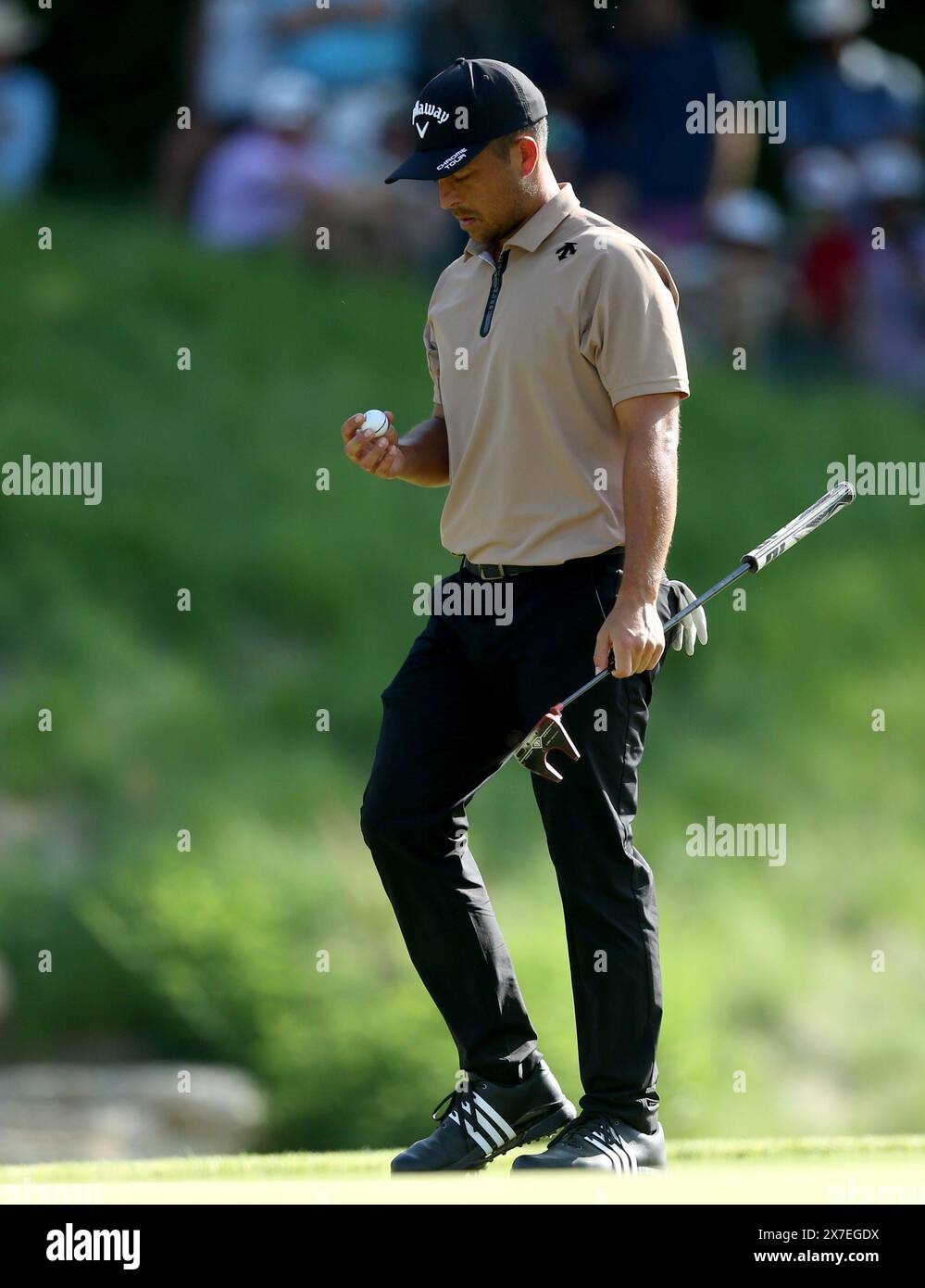 Xander schauffele pga championship hi-res stock photography and images ...