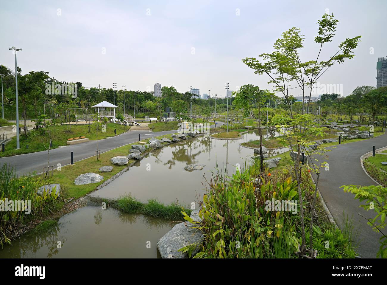Wetland Garden