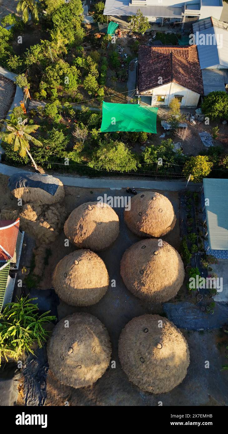 Vietnam countryside at Mekong Delta, group of haystacks from dried ...