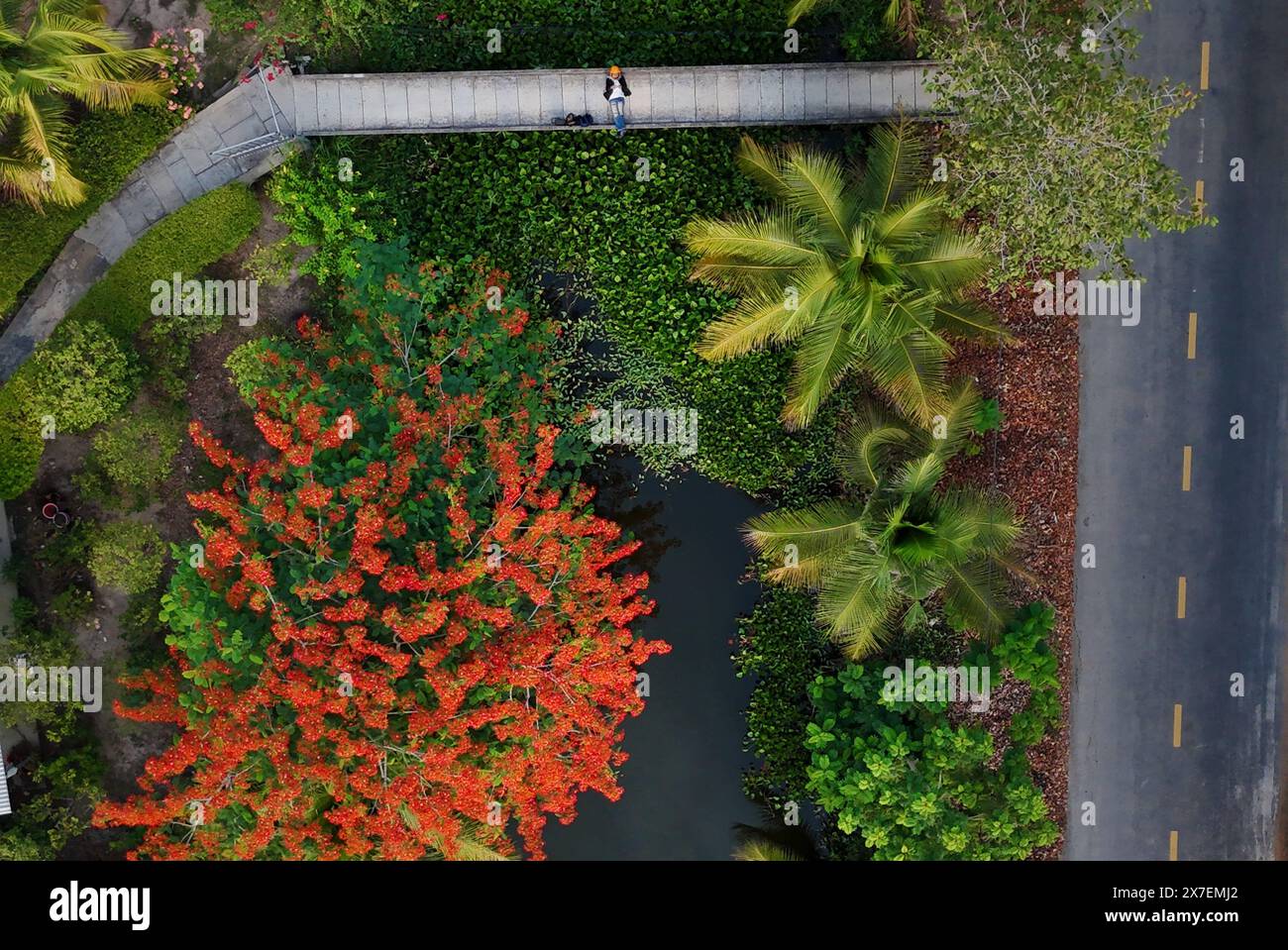 Woman photographer travel alone at Ben Tre, Mekong Delta, Viet Nam ...