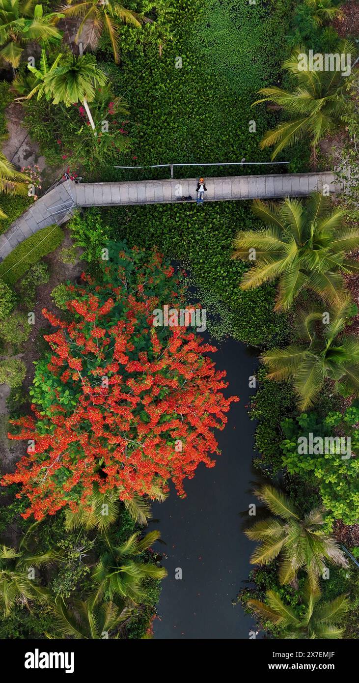 Woman photographer travel alone at Ben Tre, Mekong Delta, Viet Nam ...