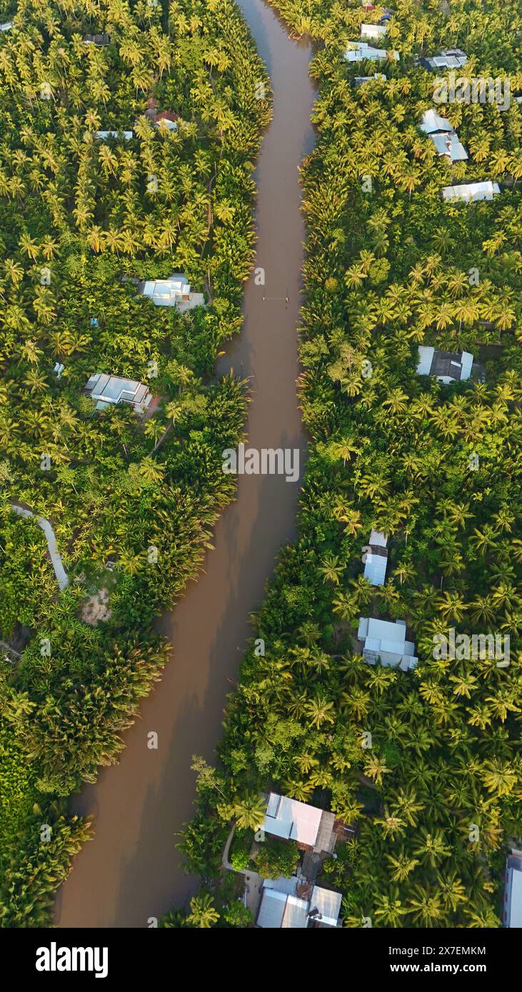 Beautiful aerial view of Mekong Delta countryside, coconut land with ...