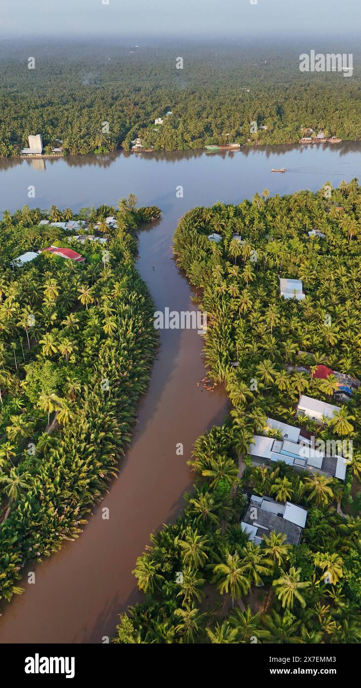 Beautiful aerial view of Mekong Delta countryside, coconut land with ...