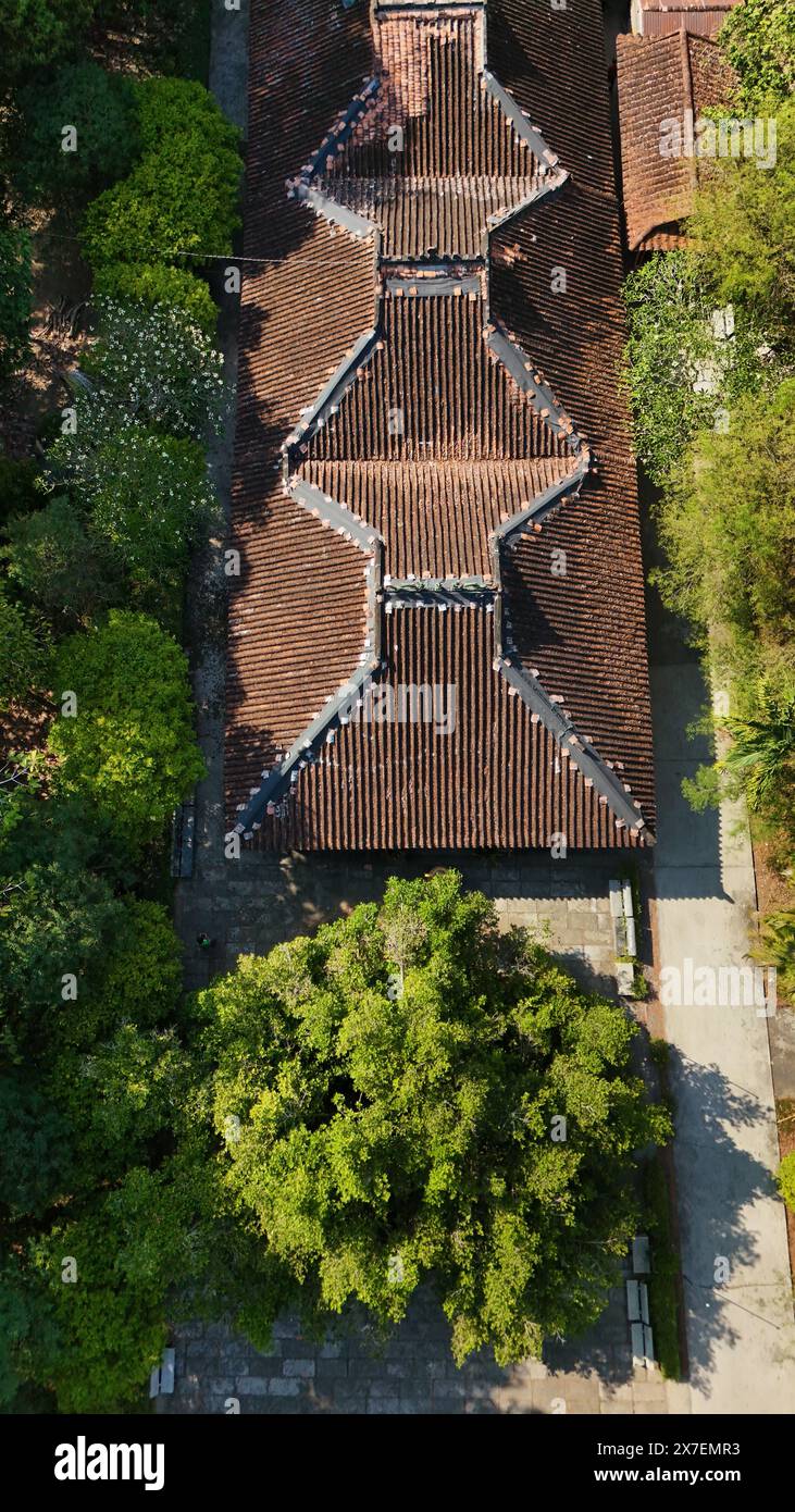 Aerial view of Mekong Delta, Ben Tre tourist with large ancient tree ...