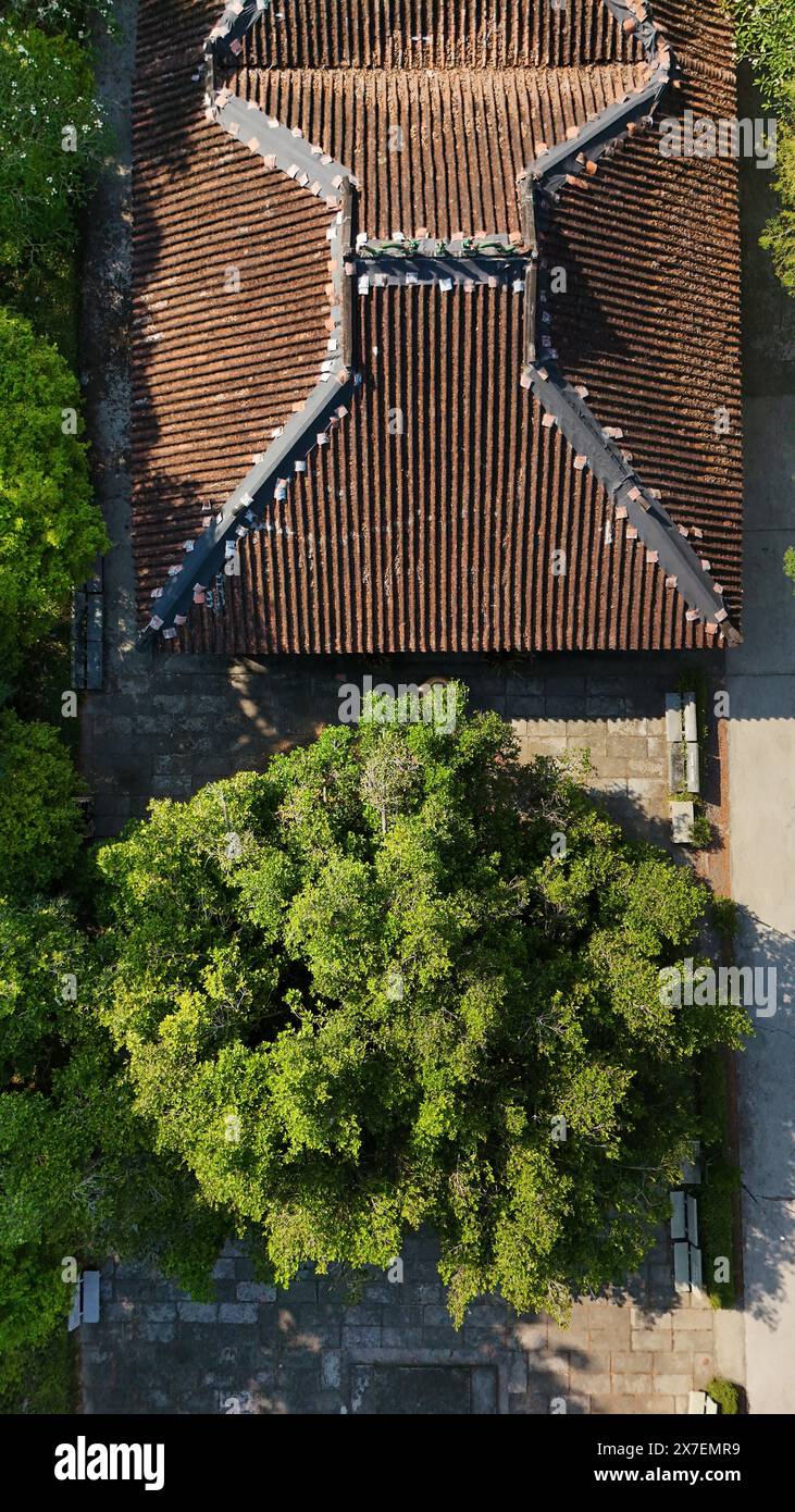 Aerial view of Mekong Delta, Ben Tre tourist with large ancient tree ...