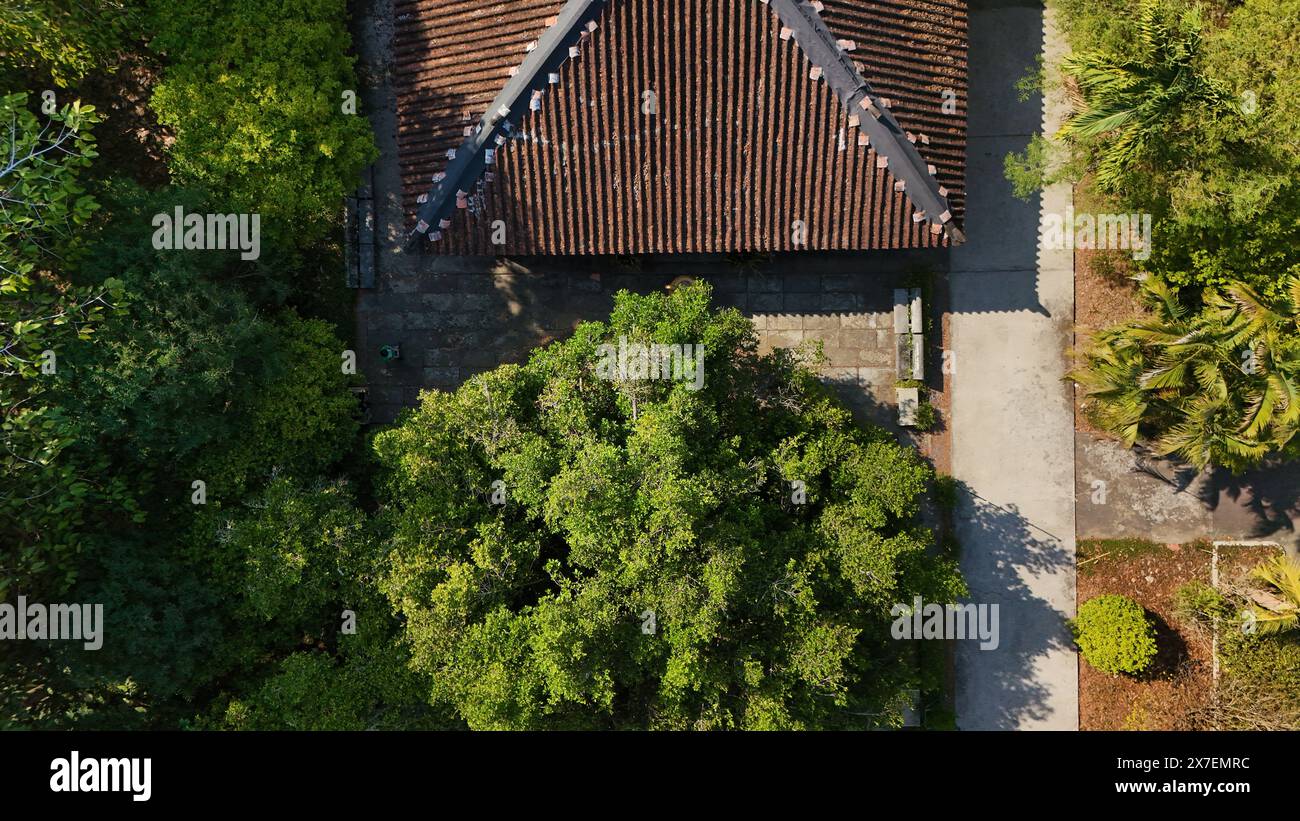 Aerial view of Mekong Delta, Ben Tre tourist with large ancient tree ...