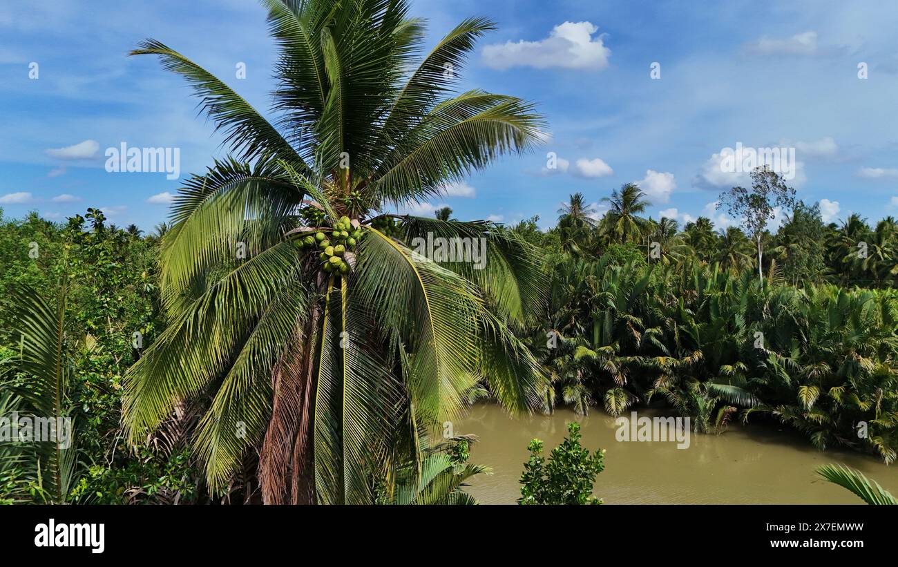 Amazing aerial view from drone of Mekong Delta countryside, vast ...