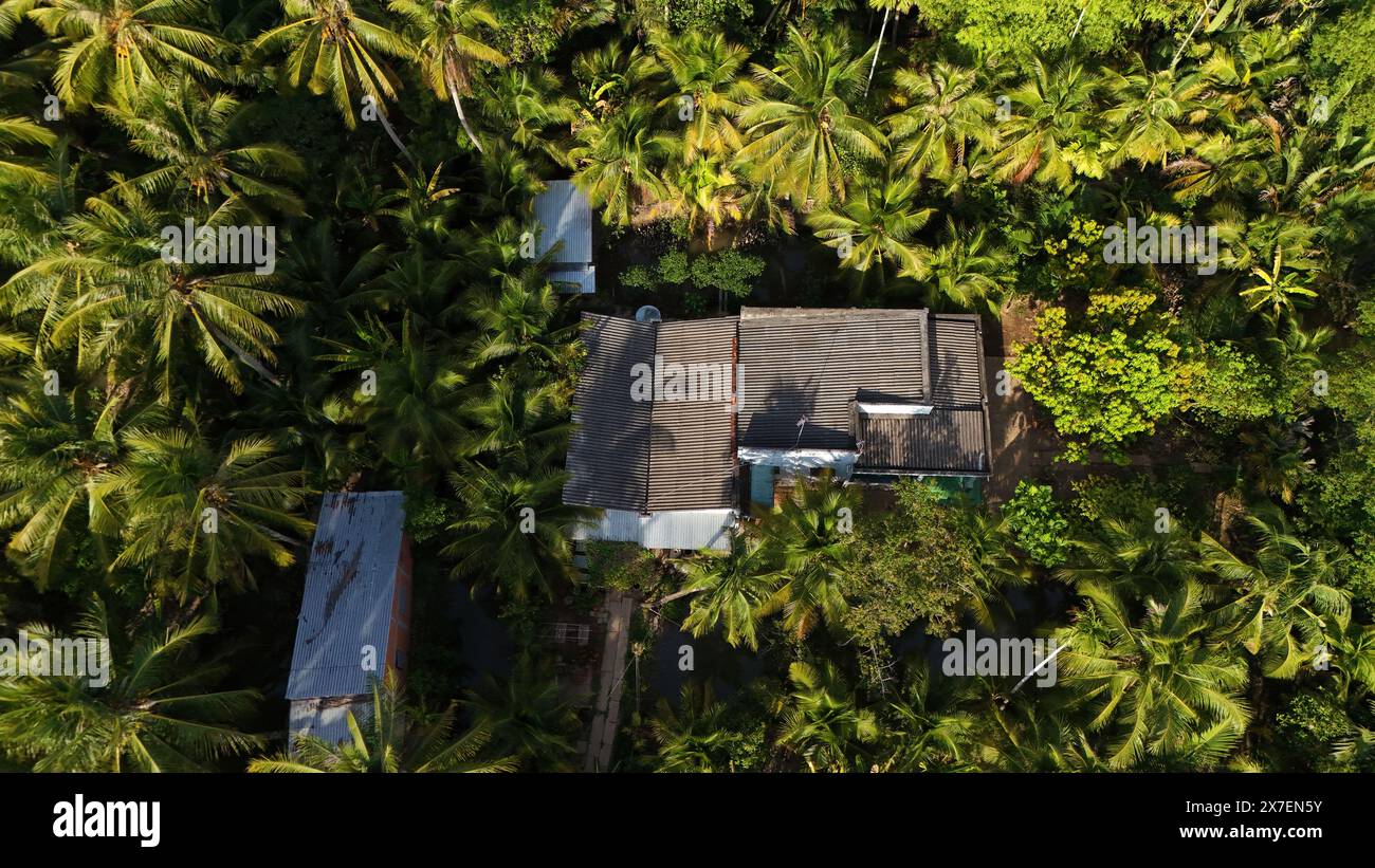 Amazing aerial view of Mekong Delta village, vast coconut, nipa tree ...