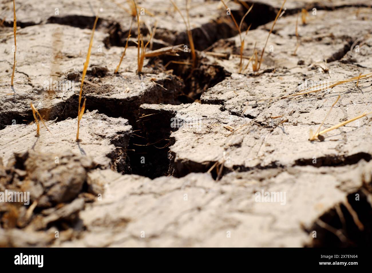 Close up dried up, mud cracks by drought, climate change by global ...