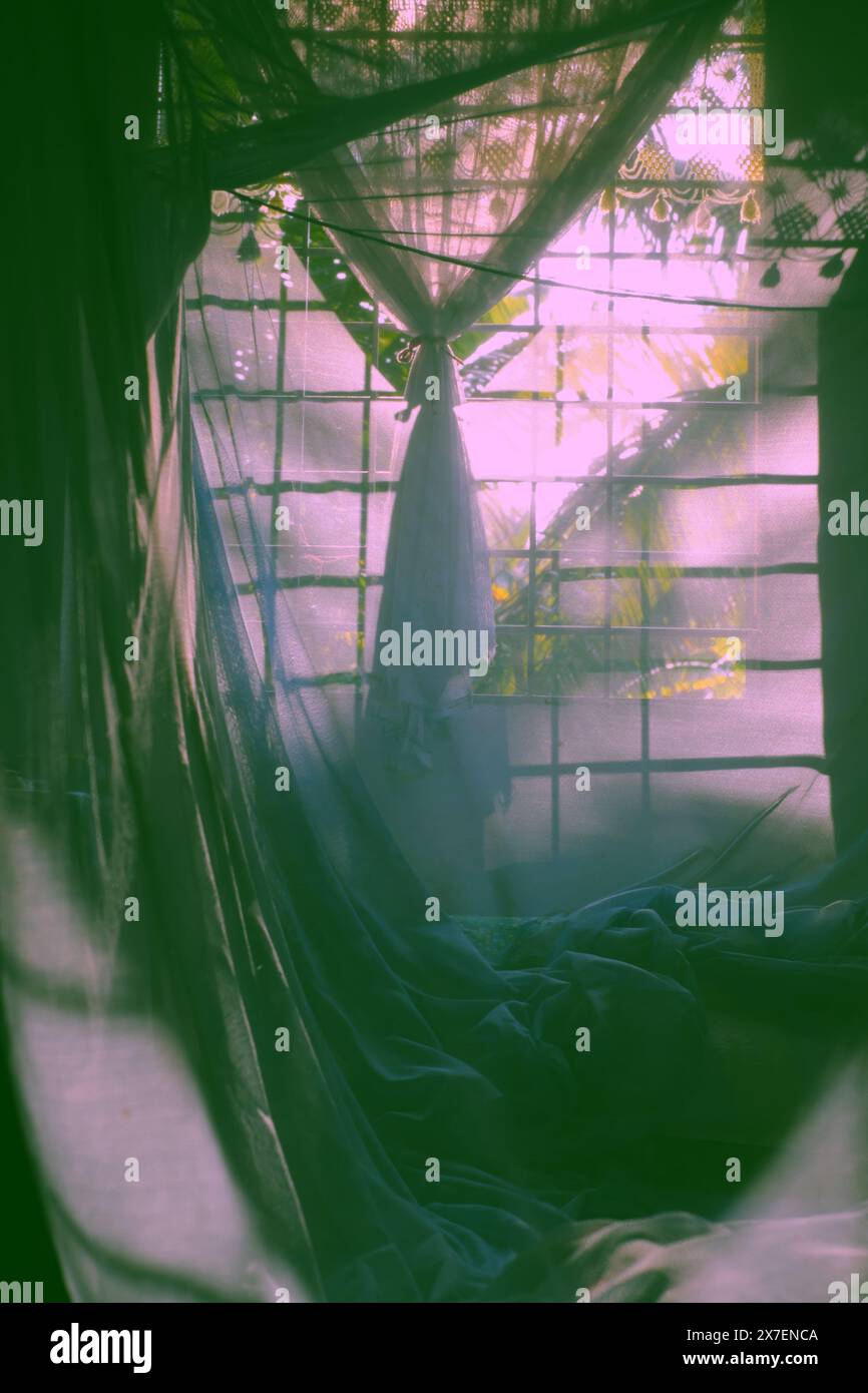 Early morning at Vietnam countryside, bedroom filled with sunlight ...