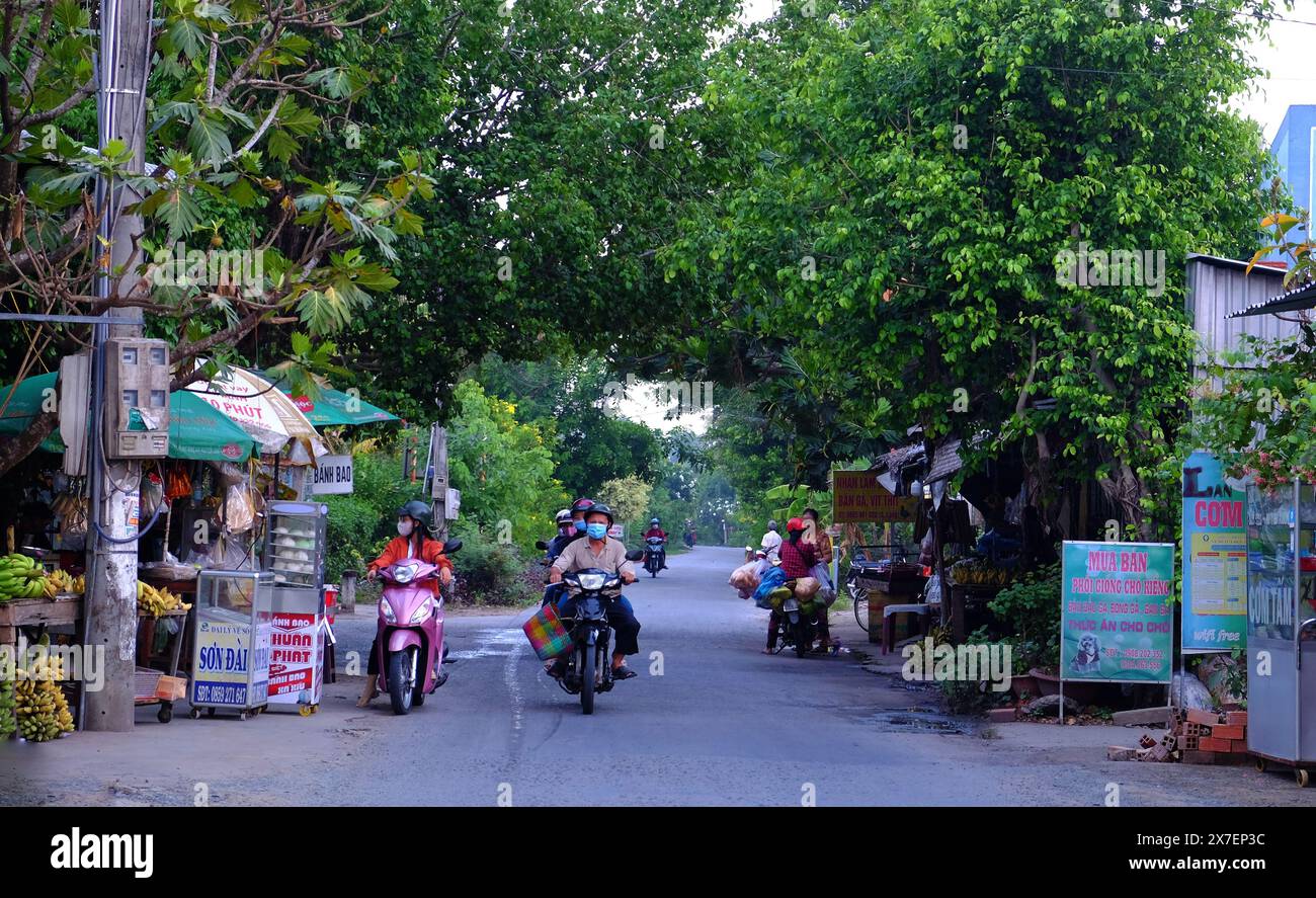 Rural landscape at Mekong Delta, Vietnam, green large canopy tree make ...