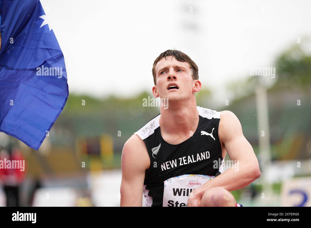 Stedman william hi-res stock photography and images - Alamy