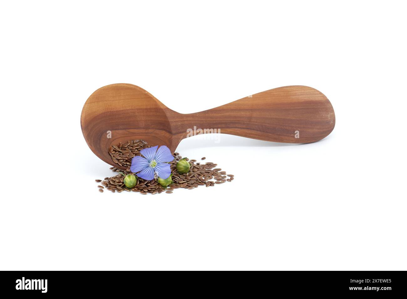 Vibrant blue flax flower is sitting on wooden spoon filled with small ...