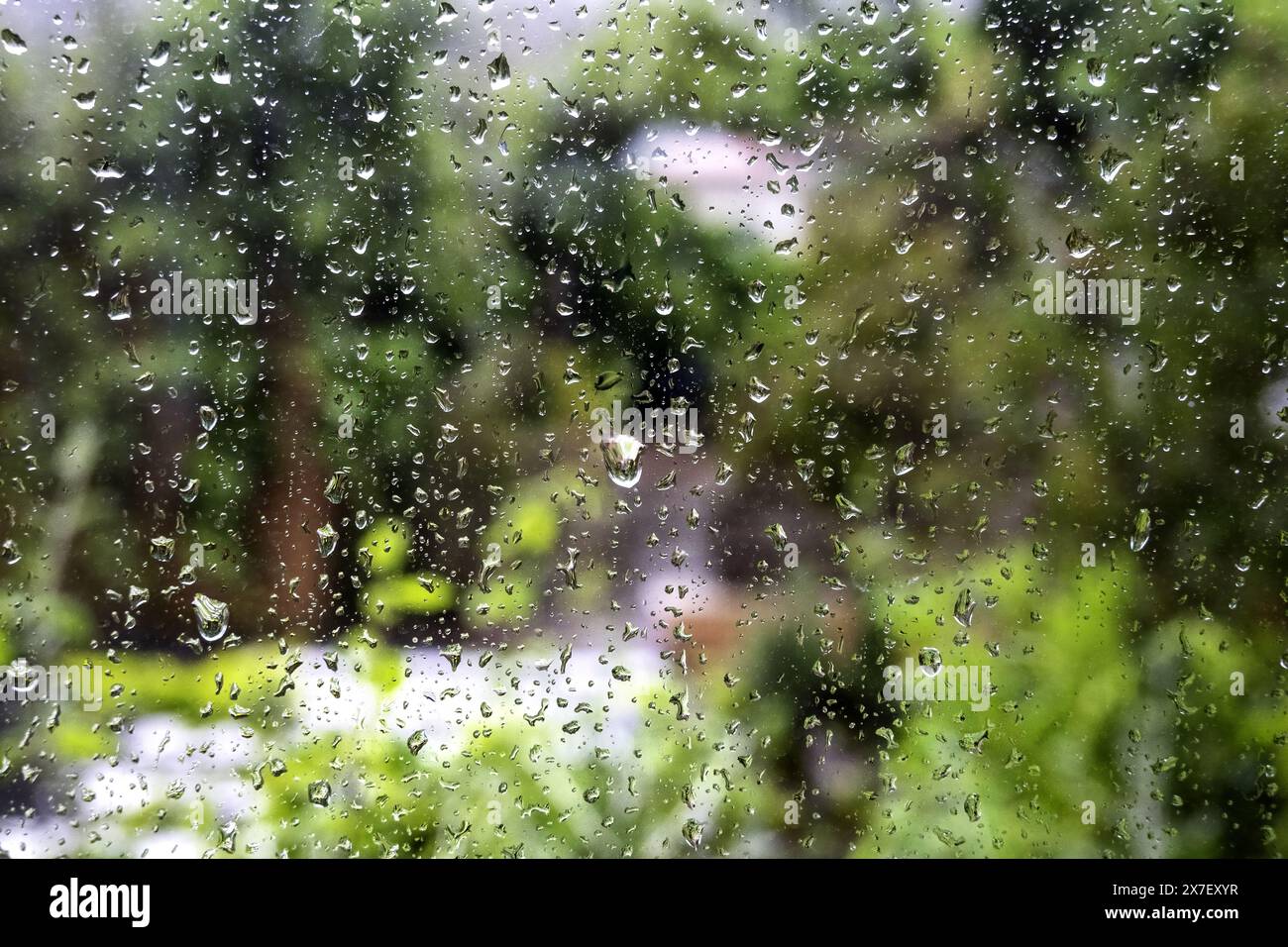Detail of wet window on a cold rainy day in winter Stock Photo - Alamy