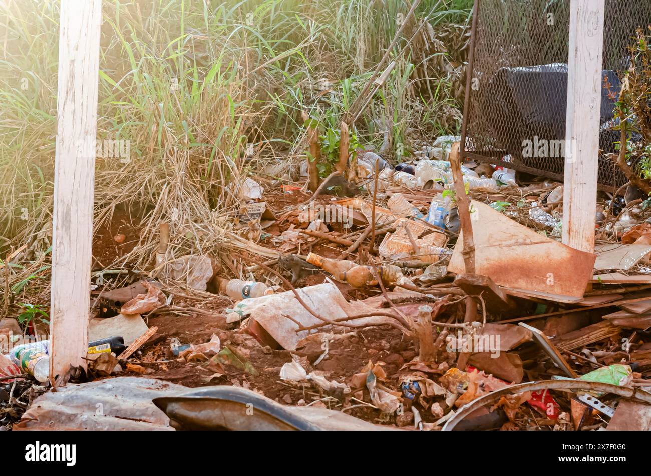 Rat Infested Garbage at Roadside Beside a Garbage Skip in Junction St ...
