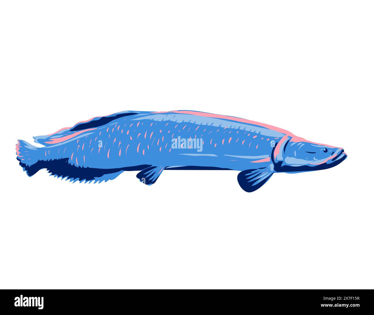 Río amazonas Cut Out Stock Images & Pictures - Alamy