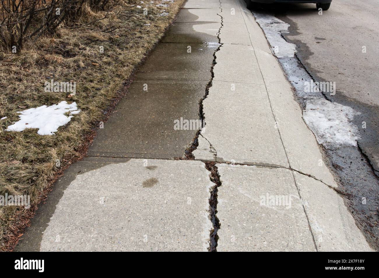 Sidewalk crack repair hi-res stock photography and images - Alamy