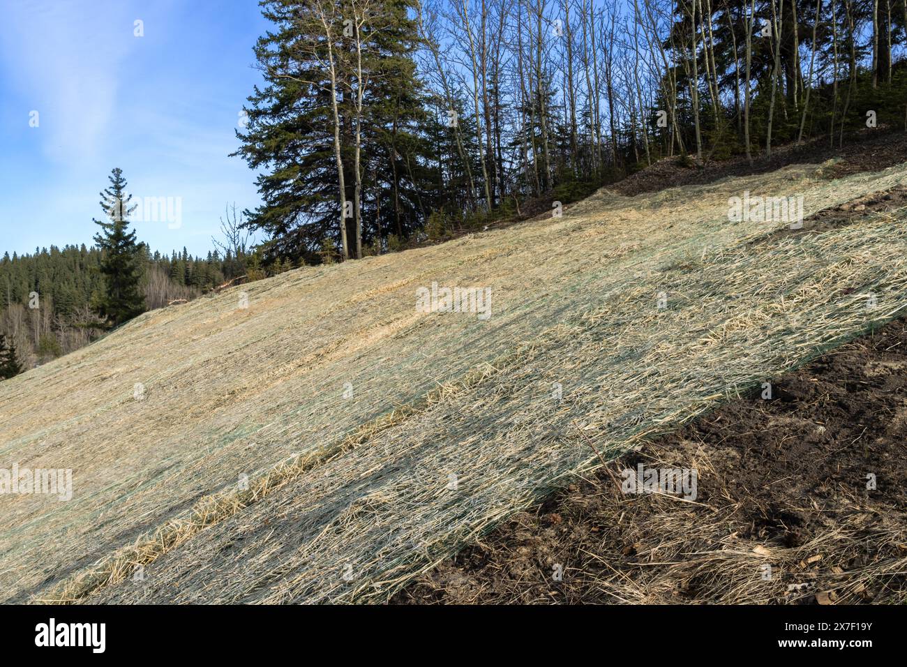 Roadside slope erosion control with single net blanket installed on ...