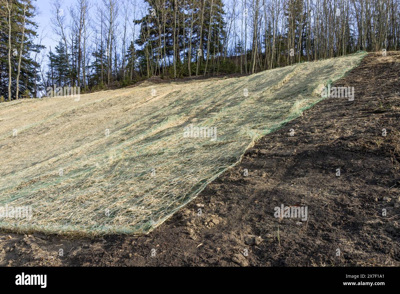 Roadside slope erosion control with single net blanket installed on ground to protect from weeds ...