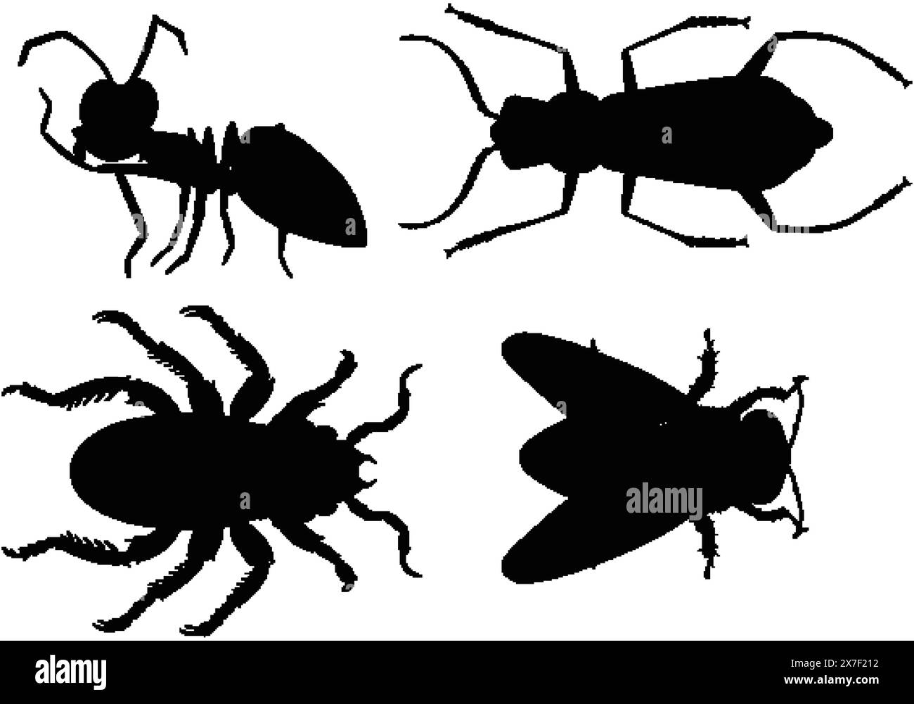 Four black insect silhouettes on a white background Stock Vector Image ...