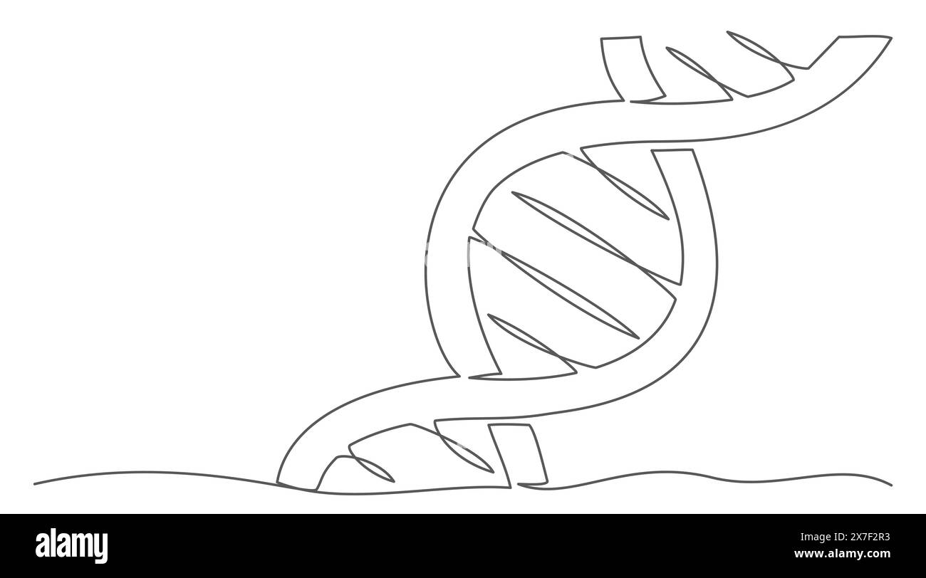 DNA One line drawing on white background Stock Vector Image & Art - Alamy