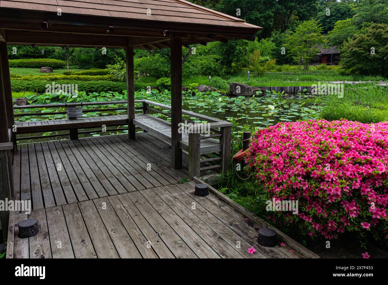 Babakabokuen hi-res stock photography and images - Alamy
