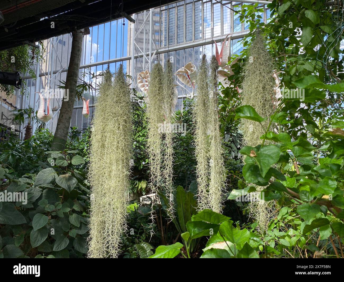 Opened in 1984 , many of the original plants were propagated at the ...