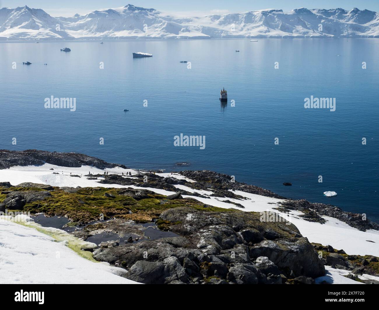 Antarctic cruise ship the Ocean Nova anchored at Palaver Point, Two ...