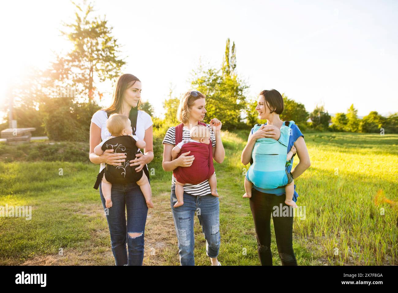 Mothers carrying babies in carriers, slings or wraps. Babywearing Stock ...