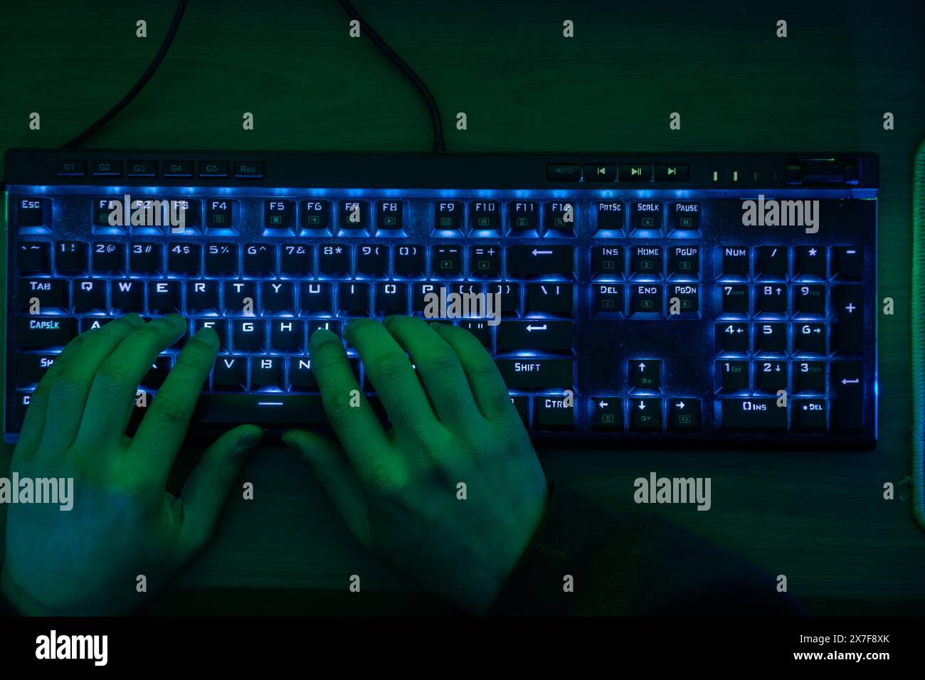Close-up On Gamer's Hands on a keyboard, Actively Pushing Buttons ...