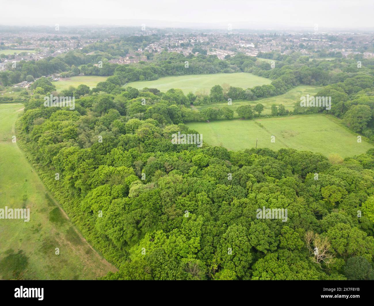 aerial view of the 80 acre beadlands nature reserve in burgess hill ...