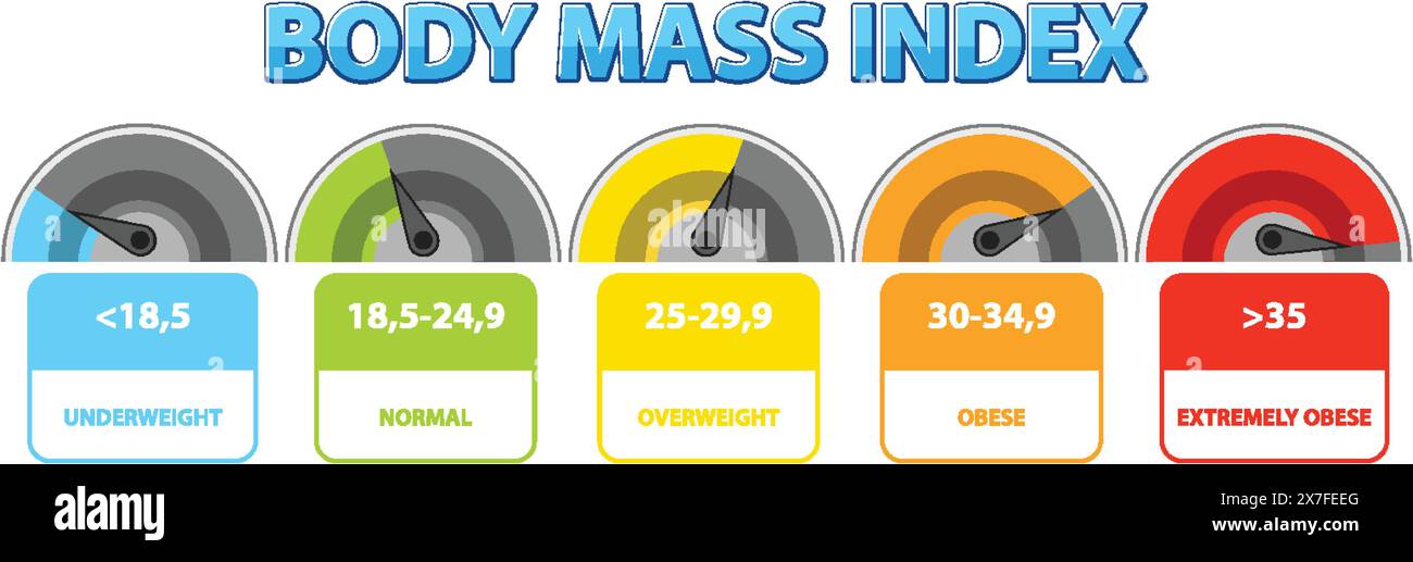 BMI ranges from underweight to extremely obese Stock Vector Image & Art ...