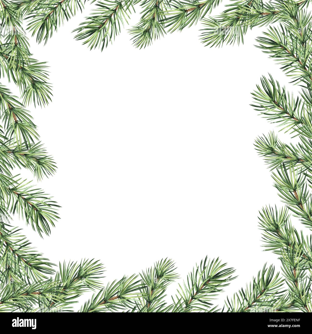 Pine tree clipart hi-res stock photography and images - Alamy