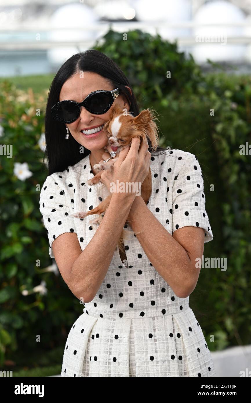 Demi Moore and her dog Pilaf at the photocall for The Substance during ...