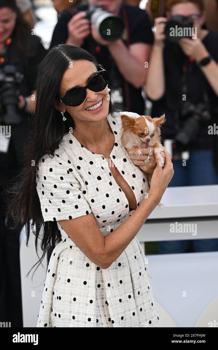 Demi Moore and her dog Pilaf at the photocall for The Substance during ...