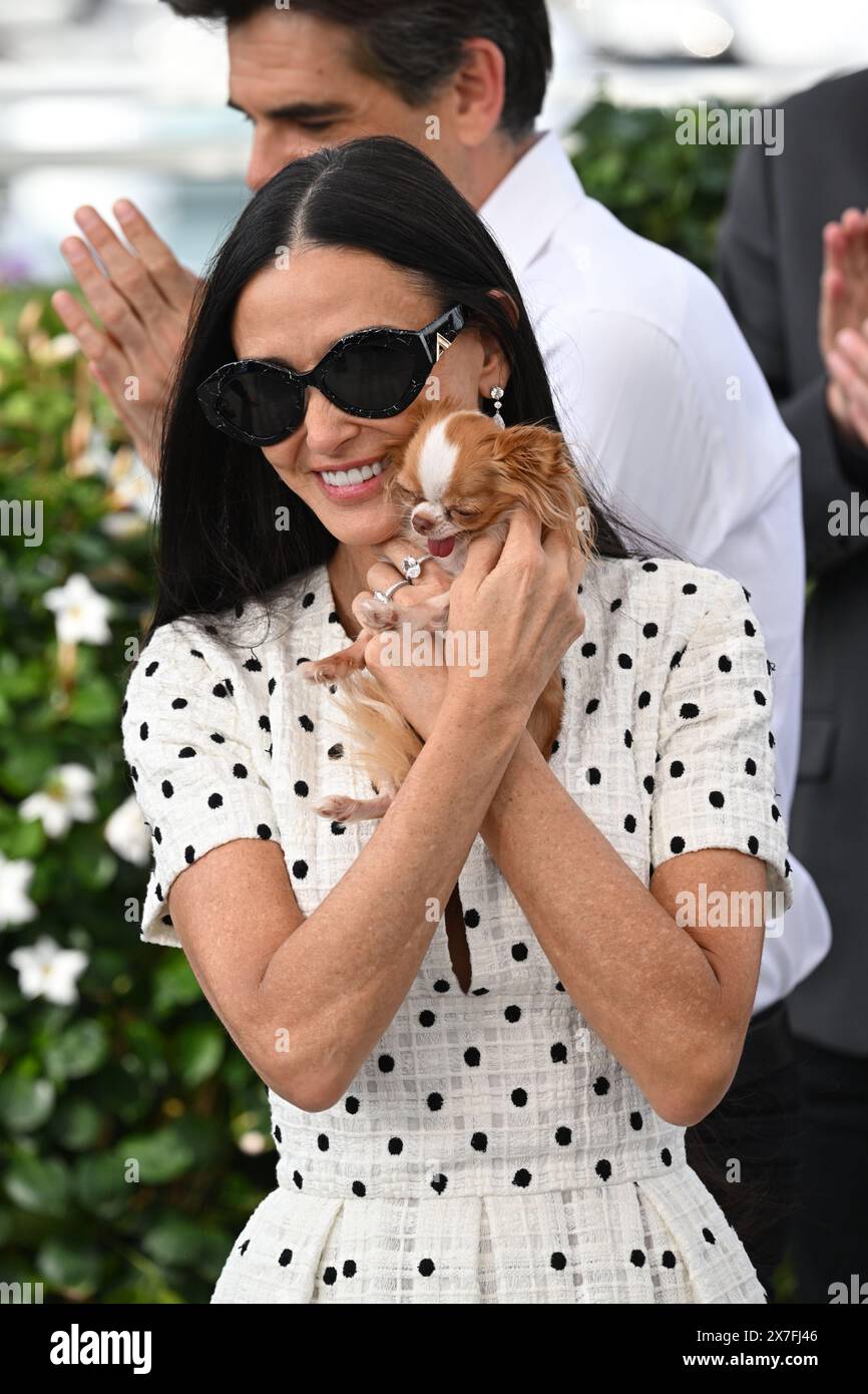 Demi Moore and her dog Pilaf at the photocall for The Substance during ...