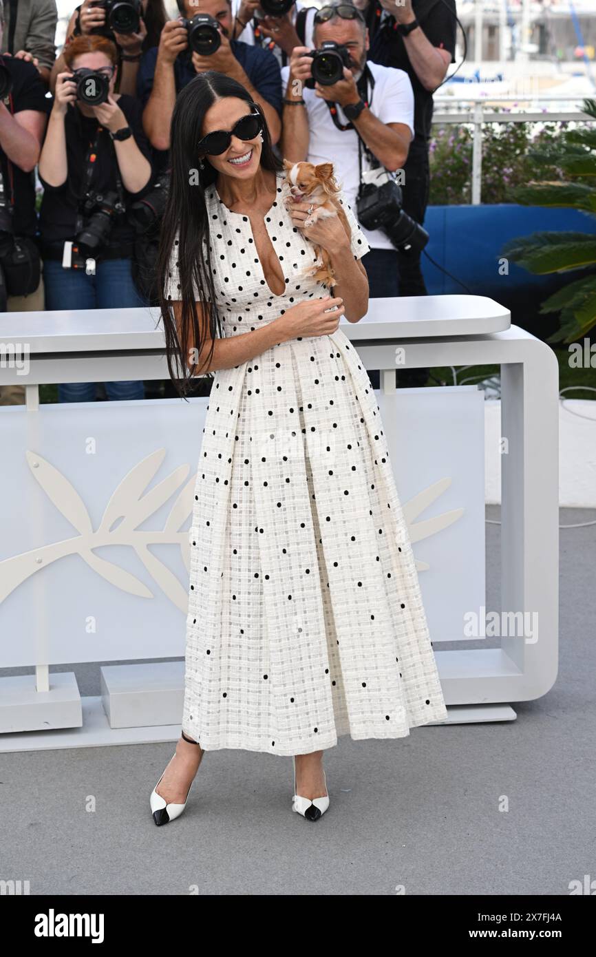 Demi Moore and her dog Pilaf at the photocall for The Substance during ...