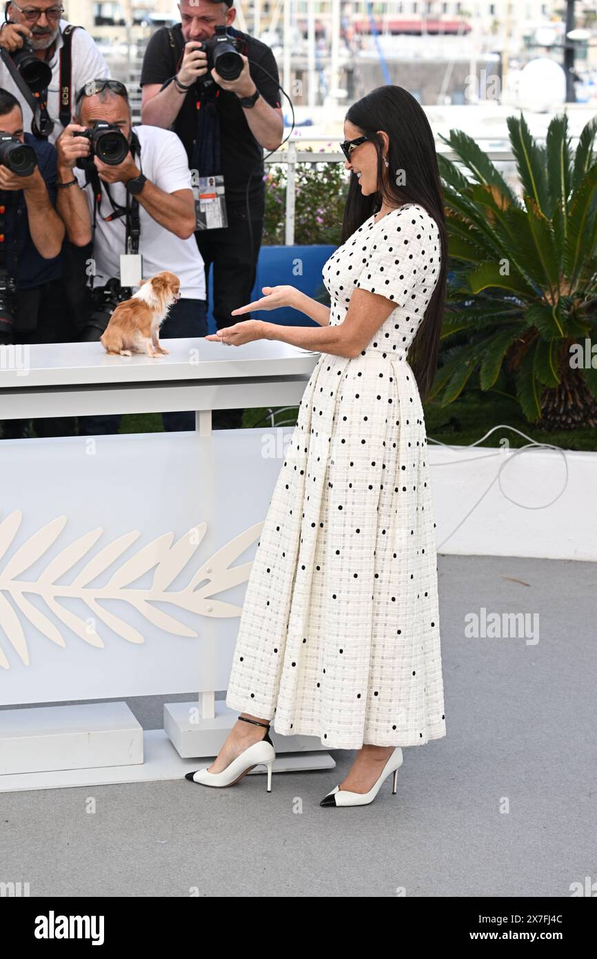 Demi Moore and her dog Pilaf at the photocall for The Substance during ...