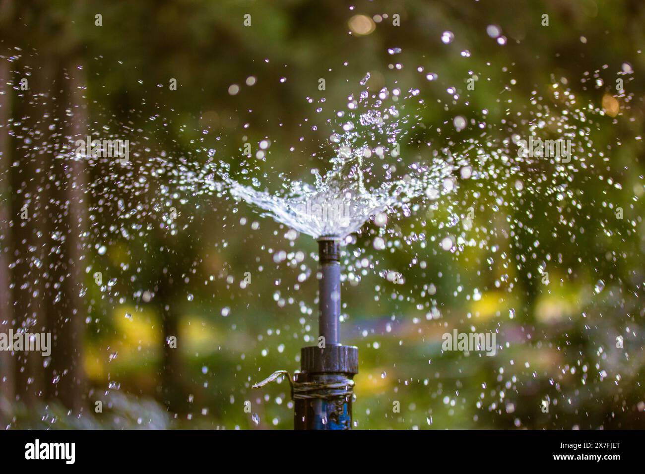 Water splashing from sprinkler. Dots drops on green background ...