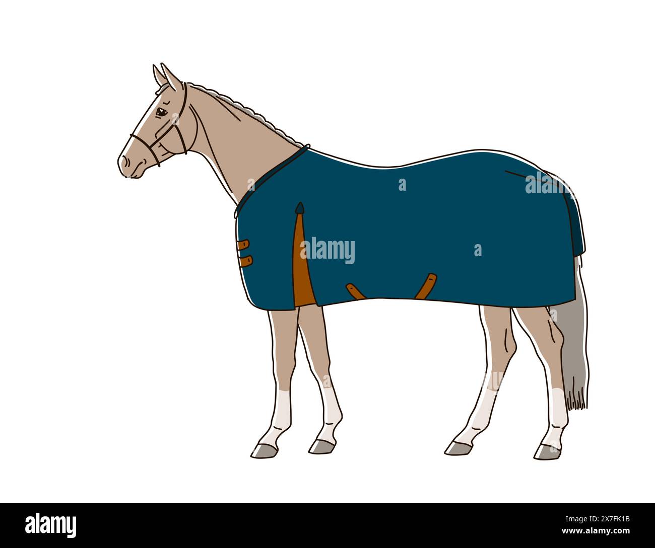 Dressed horse Cut Out Stock Images & Pictures - Alamy