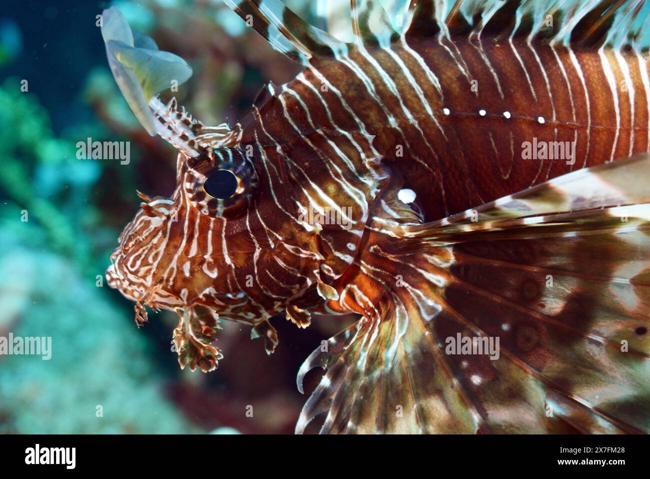 Common activity hi-res stock photography and images - Alamy