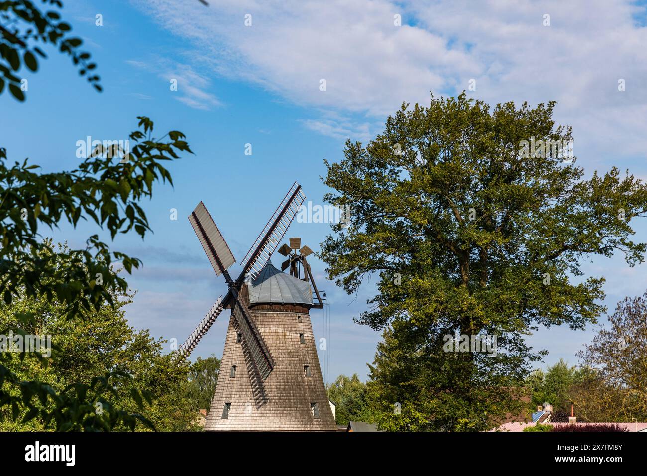 Straupitz, Germany. 20th May, 2024. The Dutch windmill in Straupitz is ...