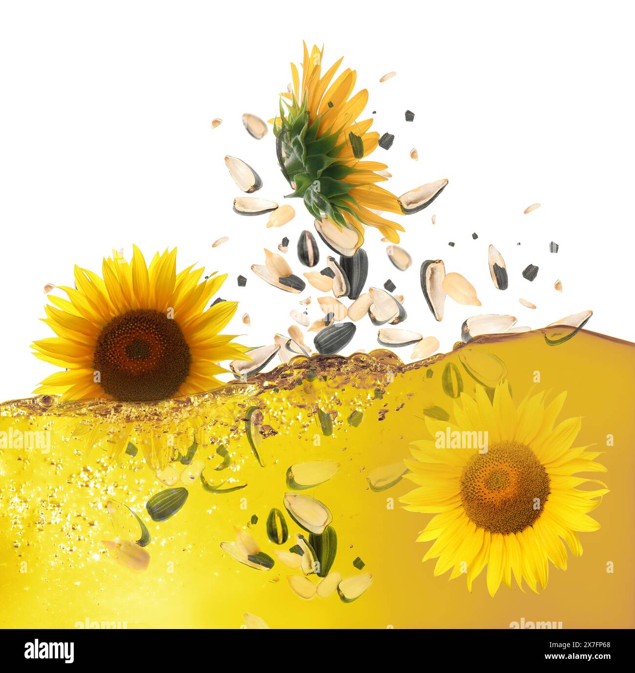Sunflowers and seeds falling into cooking oil on white background Stock ...