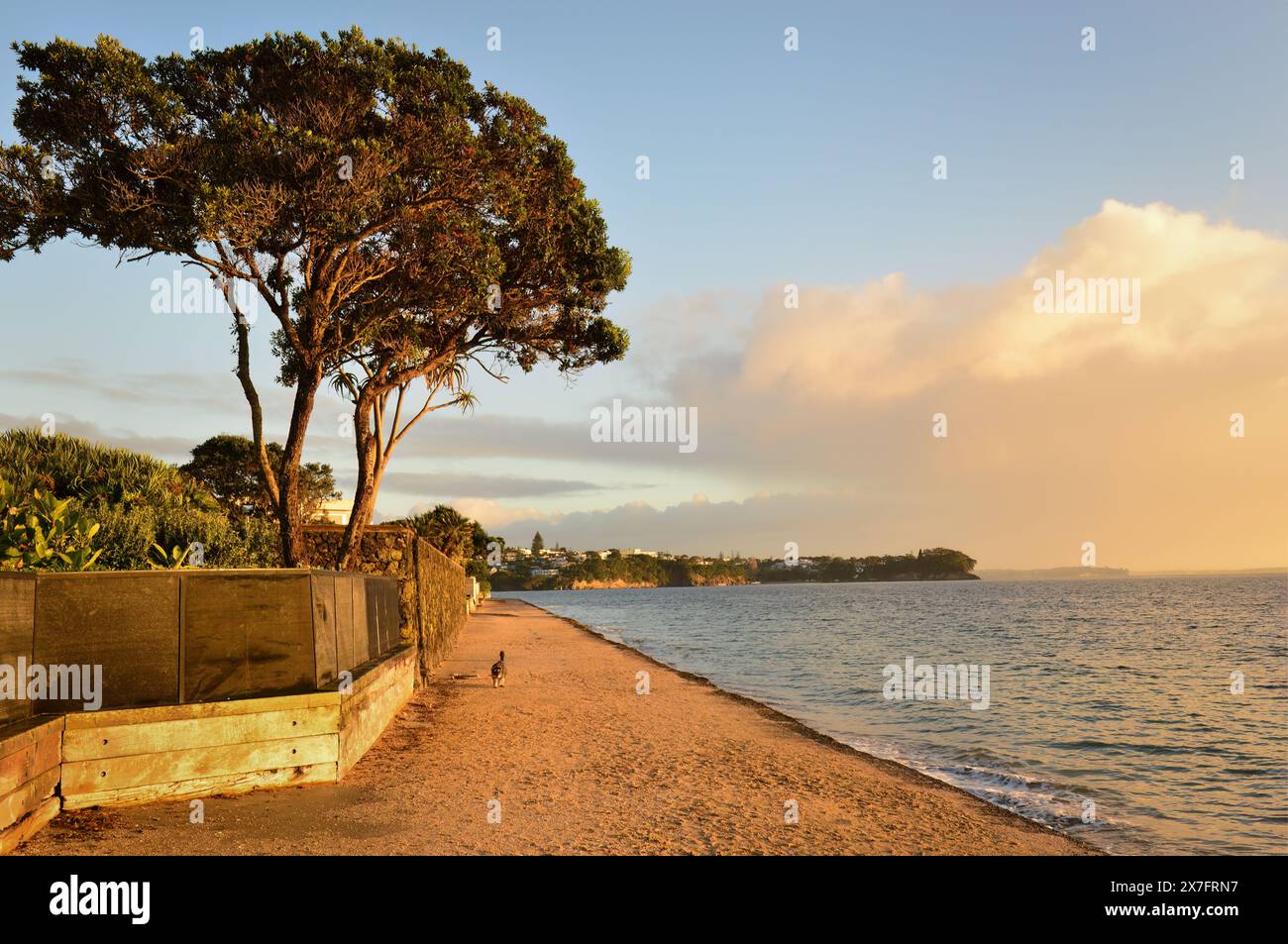 Beach pathway concrete pathway hi-res stock photography and images - Alamy